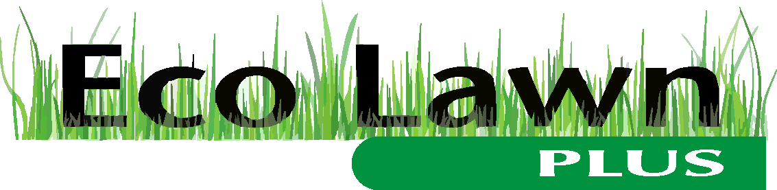 Eco Lawn Plus